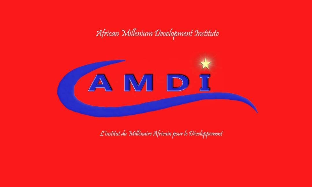 African Millennium Development Institute (AMDI) - Le Grand Frère